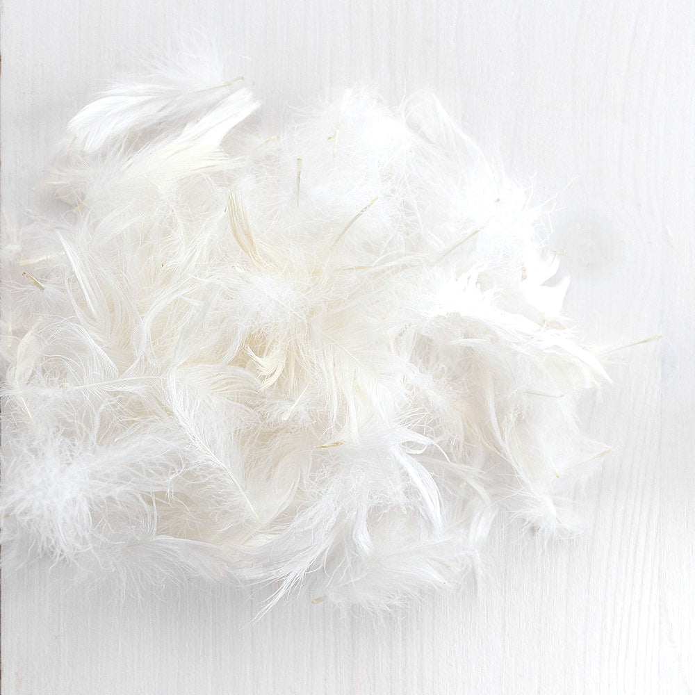 Feather Pillow Inserts – Tonic Living